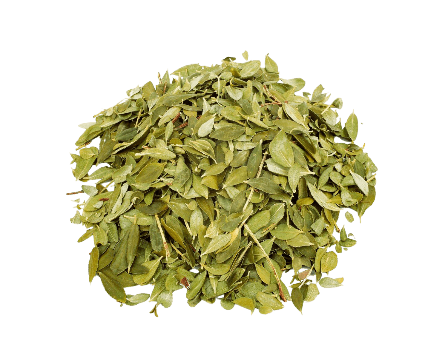 Home - Kannaland Khoi